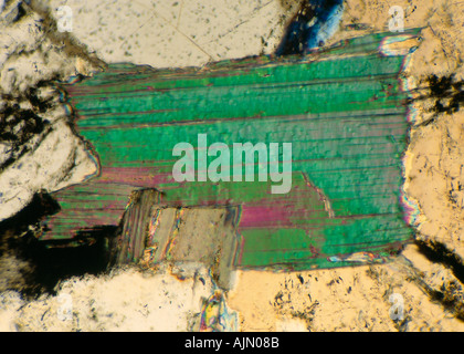 Muscovite section photomicrograph cross polarized lighting mag approx ...