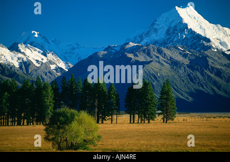 New Zealand South Island Aoraki Mount Cook National Park Mountain guide ...
