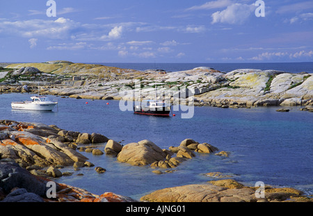 harbour, fishing boats at Bicheno, Tasmania, Australia Stock Photo - Alamy