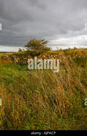 Lanchester Roman Fort Dere Street England UK Stock Photo - Alamy