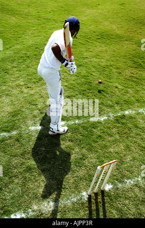Rear view of a batsman Stock Photo - Alamy