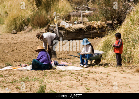Subsistence farmers planting potatoes by the Lake Titicaca, Bolivia ...