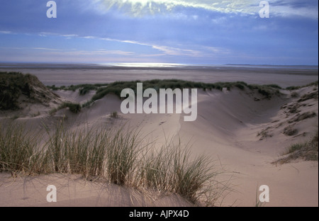 Saltfleetby - Theddlethorpe Dunes National Nature Reserve, Lincolnshire ...