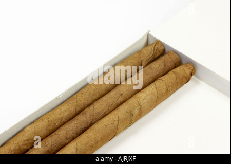 cigarillos in a box Stock Photo - Alamy
