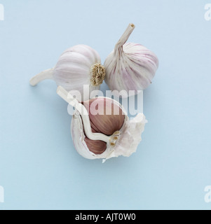 Garlic on pale blue background Stock Photo - Alamy