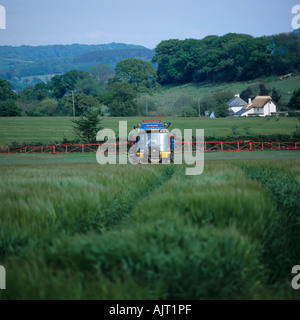 Fastrac tractor with mounted sprayer spraying a wheat crop in early ...