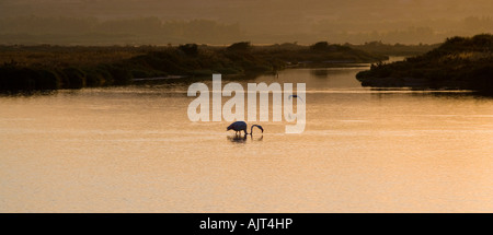 Big salt Swamp in Sulcis, Sardegna, Italy Stock Photo - Alamy
