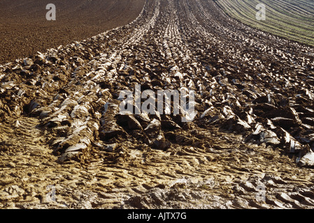 Close up view of a plowed field in western Germany on a sunny summer ...