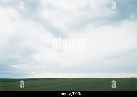 field with green shots and cloudy sky Stock Photo - Alamy