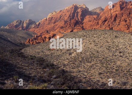 Mojave Desert ravine with red sandstone and gray limestone formations ...