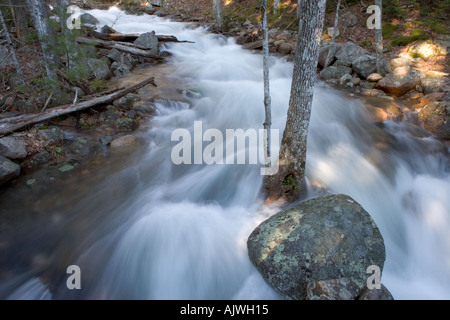 Jordan Stream after heavy rains in spring Acadia National Park in Maine ...