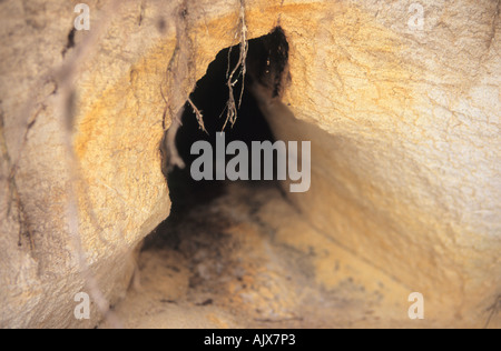Close-up of a sandstone cave entrance carved into a cliff face, with ...