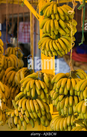 MOROCCO, Atlantic Coast, TAMRI: Local Bananas for Sale Stock Photo - Alamy