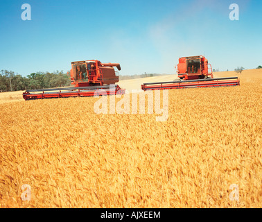 Harvesters work in the wheat field in Lianyungang in eastern China's ...