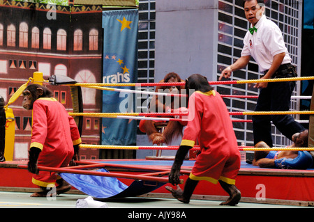Thailand Bangkok Monkey Boxing in Safari World Stock Photo - Alamy