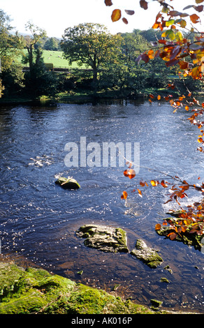 River Lune at the Crook of Lune Caton Lancaster Lancashire England UK ...