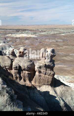 Petrified trunk, Blue Mesa, Petrified Forest National Park, Arizona ...