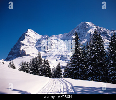Swiss Alps winter landscape with snow and sun, Europe Stock Photo - Alamy