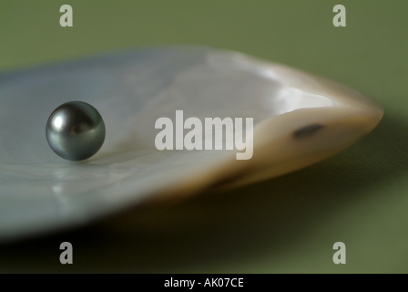 One polynesian black pearl on an oyster Stock Photo - Alamy