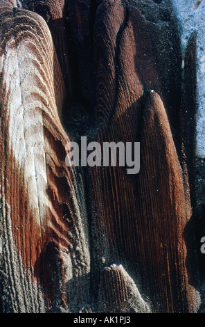Wood structure as support Stock Photo - Alamy