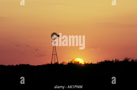Cattle ranch, Texas Panhandle near Amarillo, Texas, United States Stock ...