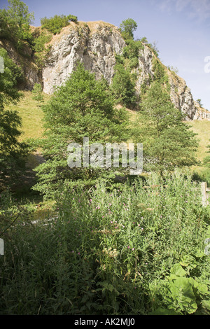 DOVEDALE gorge River Dove with path near Tissington Spires in White ...