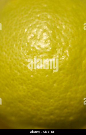 Lemon on a tree - Competa, Southern Spain Stock Photo - Alamy