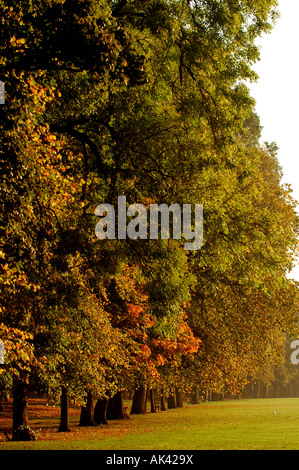 Meadows Edinburgh at sunset Stock Photo - Alamy