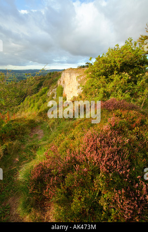 White Stone Cliff, Sutton Bank, North Yorkshire Stock Photo - Alamy