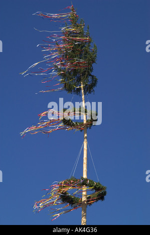 the May Pole is an old Austrian tradition Lower Austria Stock Photo - Alamy