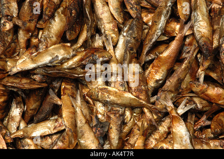 Dried fish in the market, Brunei Stock Photo - Alamy