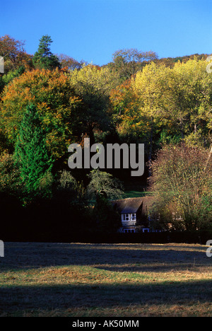 Cottages at Buriton Stock Photo - Alamy
