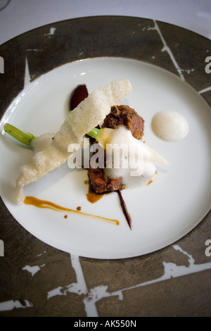 Ballotine of Anjou Pigeon at The Fat Duck Bray Berkshire Stock Photo ...