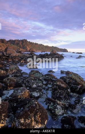 Patricks Point State Park along the Pacific ocean with waves crashing ...