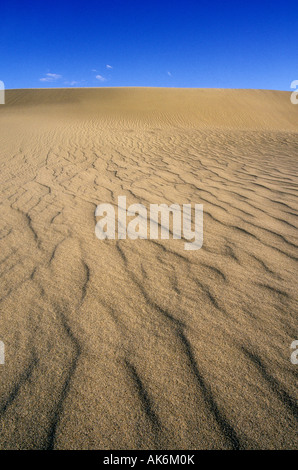 Olancha Sand Dunes on the edge of dry Owens Lake below the Sierra ...