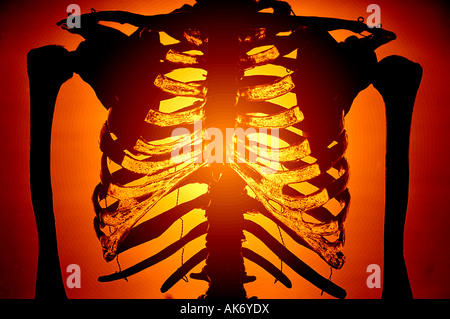 conceptual abstract view of human skeleton Stock Photo - Alamy