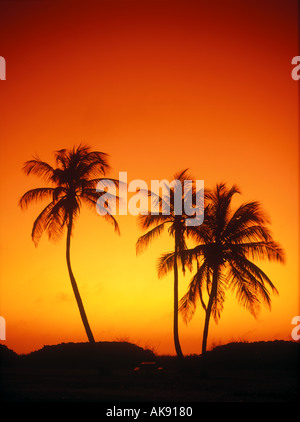 Naples, Florida vibrant orange sunset, in gulf of Mexico with sun ...