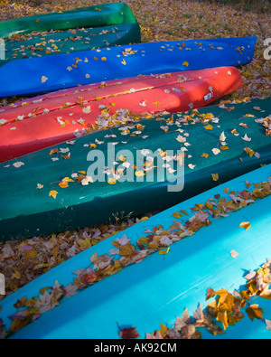 Hulls of kayaks and canoes covered with leaves Stock Photo - Alamy