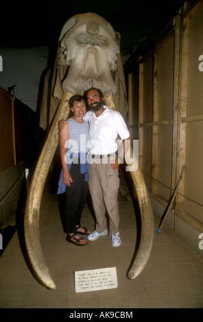 Skeleton of Ahmed elephant of Marsabit famous for exceptional tusks in ...
