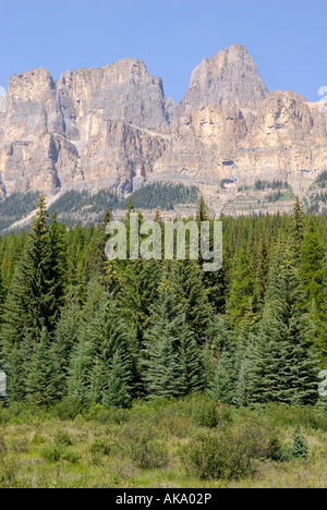 Castle Cliffs Mountains Banff Alberta Canada Canadian Rockies Canadian ...