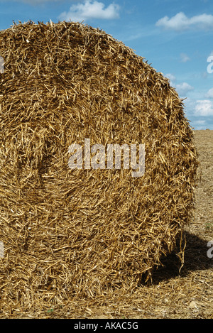 close-up shot of a hay bale, perspective and bokeh effect Stock Photo ...