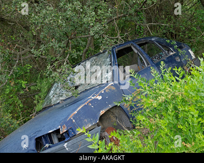 old rusty wrack of a car hidden in bush in the nature Stock Photo - Alamy