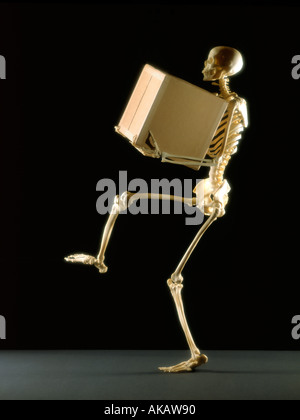 Human skeleton Back Stock Photo - Alamy