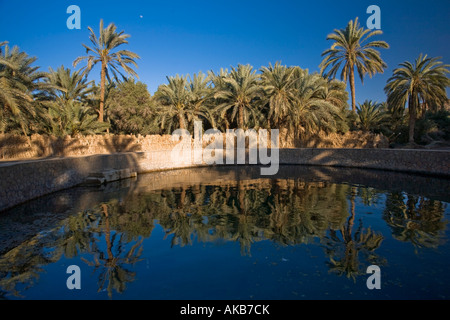 Cleopatra's Bath, natural spring, Siwa, Egypt Stock Photo - Alamy