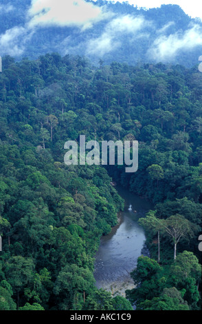 View of Danum valley river in Lahad Datu Sabah Borneo Malaysia Stock ...