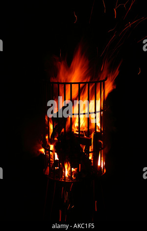 Flame of fire burning in the brazier Stock Photo - Alamy
