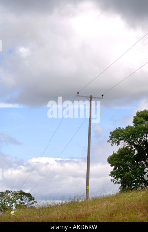 OVERHEAD TELEPHONE CABLES IN A HEREFORDSHIRE FIELD UK Stock Photo - Alamy