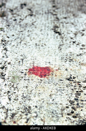 blood stain on street road Stock Photo: 37328942 - Alamy