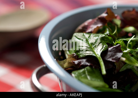 Mixed lettuce leaves Stock Photo - Alamy