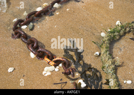 Anchor chain pebles shells and seaweed on the beach at Broadstairs Kent ...